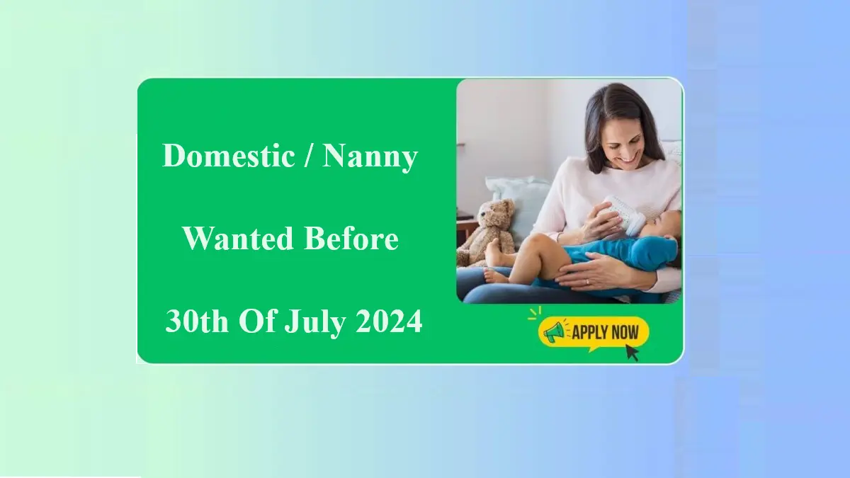 Domestic / Nanny Wanted Before 30th Of July 2024