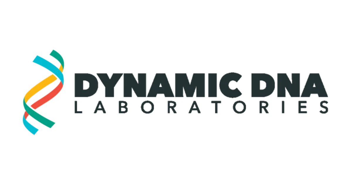 Dynamic DNA’s 2026 IT Learnership – Apply Before It’s Too Late!